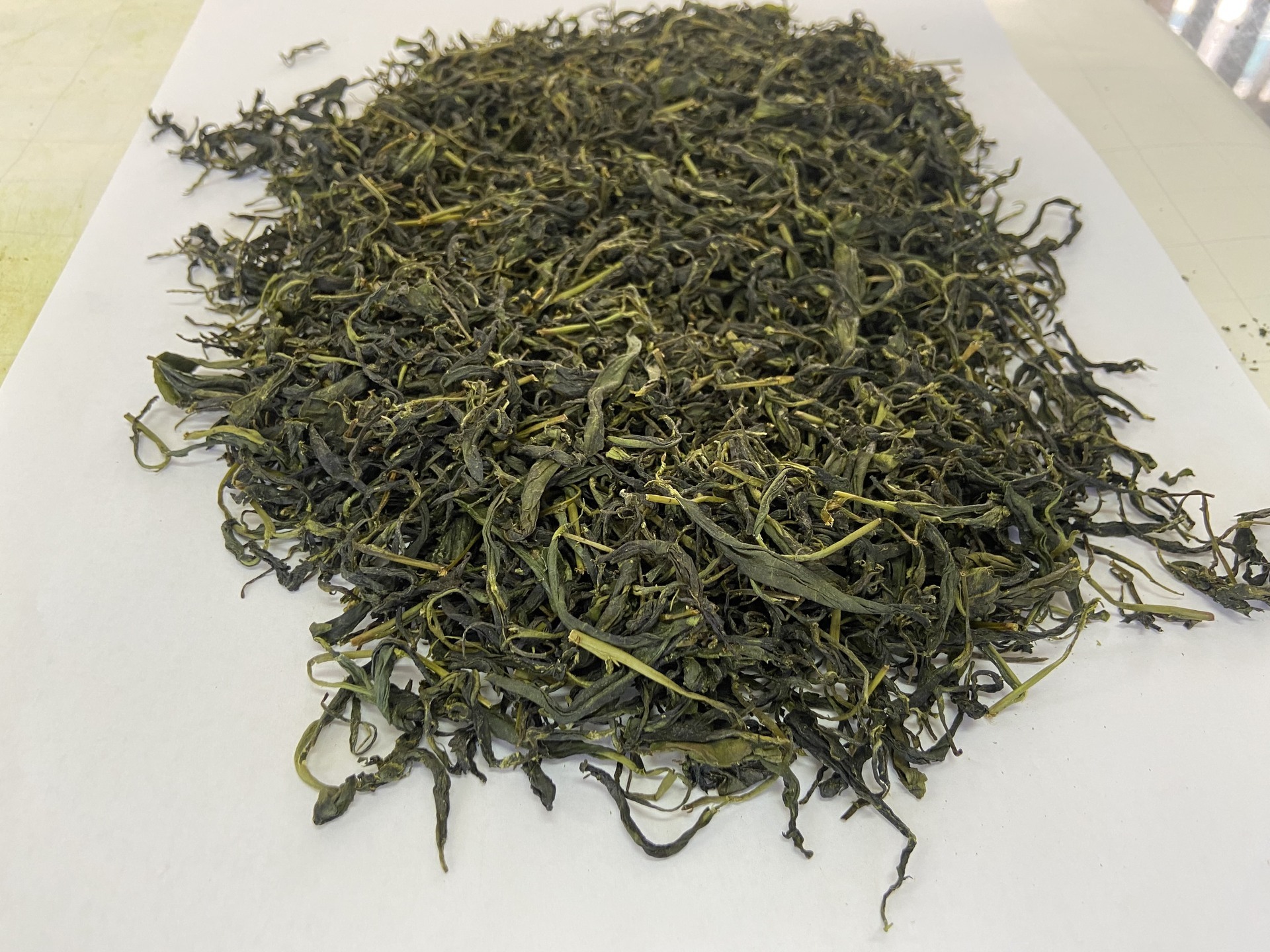 3年「お茶づくり体験」: 青戸小ブログ 南九州市